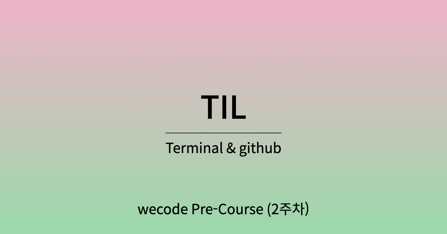 [wecode : TIL] Terminal & github